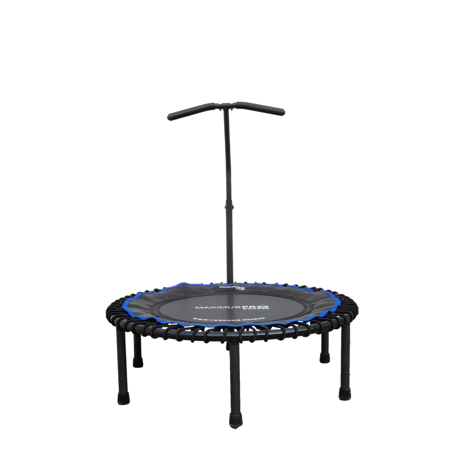 Rebounders Archives | Rebound Fitness
